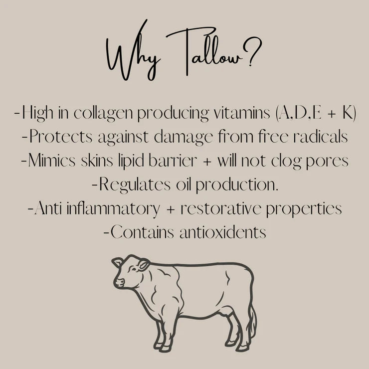 Immortal Tallow Face Cream (Anti-aging-dark circles-tighten) – Herbalish